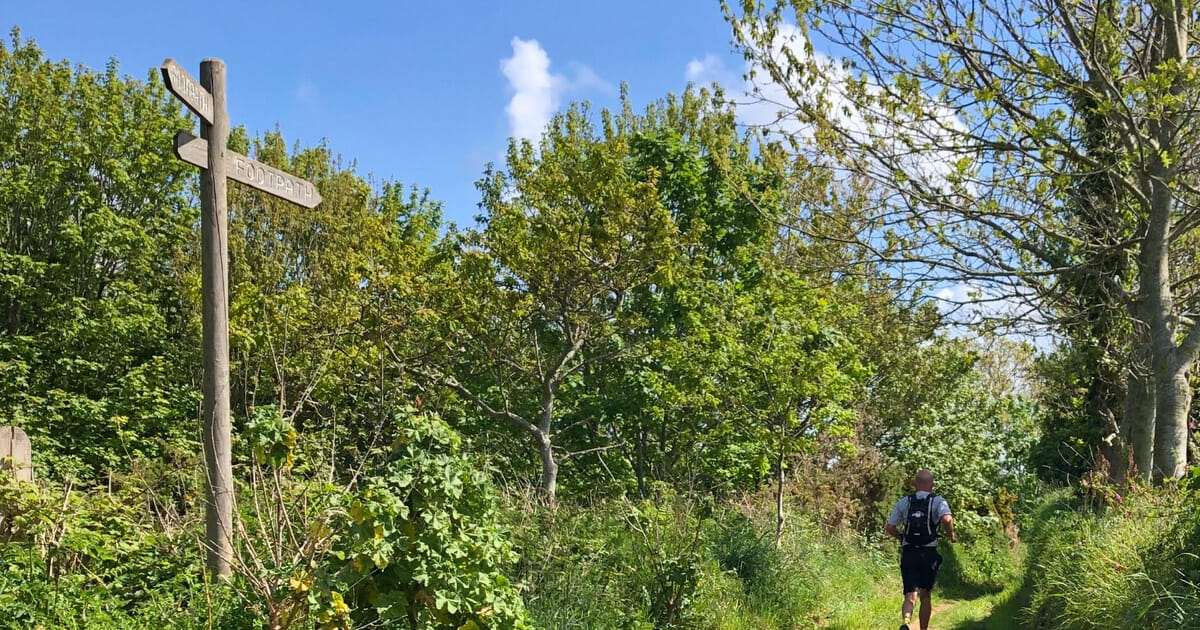 Trail-Fest Jersey | Sat 4 May 2024