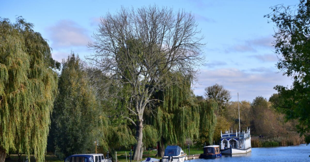 Thames Trail Ultra | Sat 25 Oct 2025