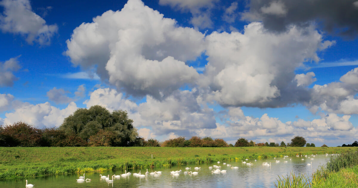 Run 10 in the Fen | Sun 19 Oct 2025