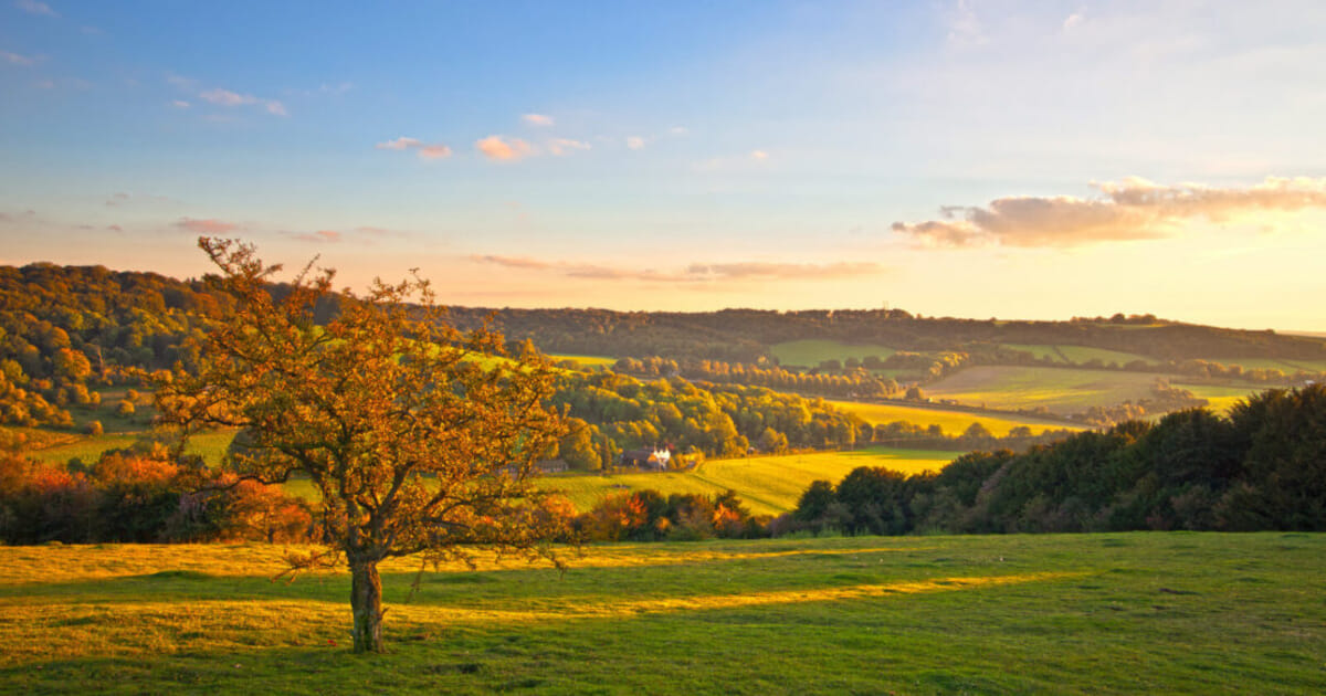 Kent Downs 50 Ultra Challenge | Sat 11 Oct 2025 | TimeOutdoors